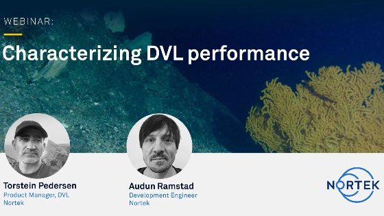 Characterizing DVL performance - Geo-matching