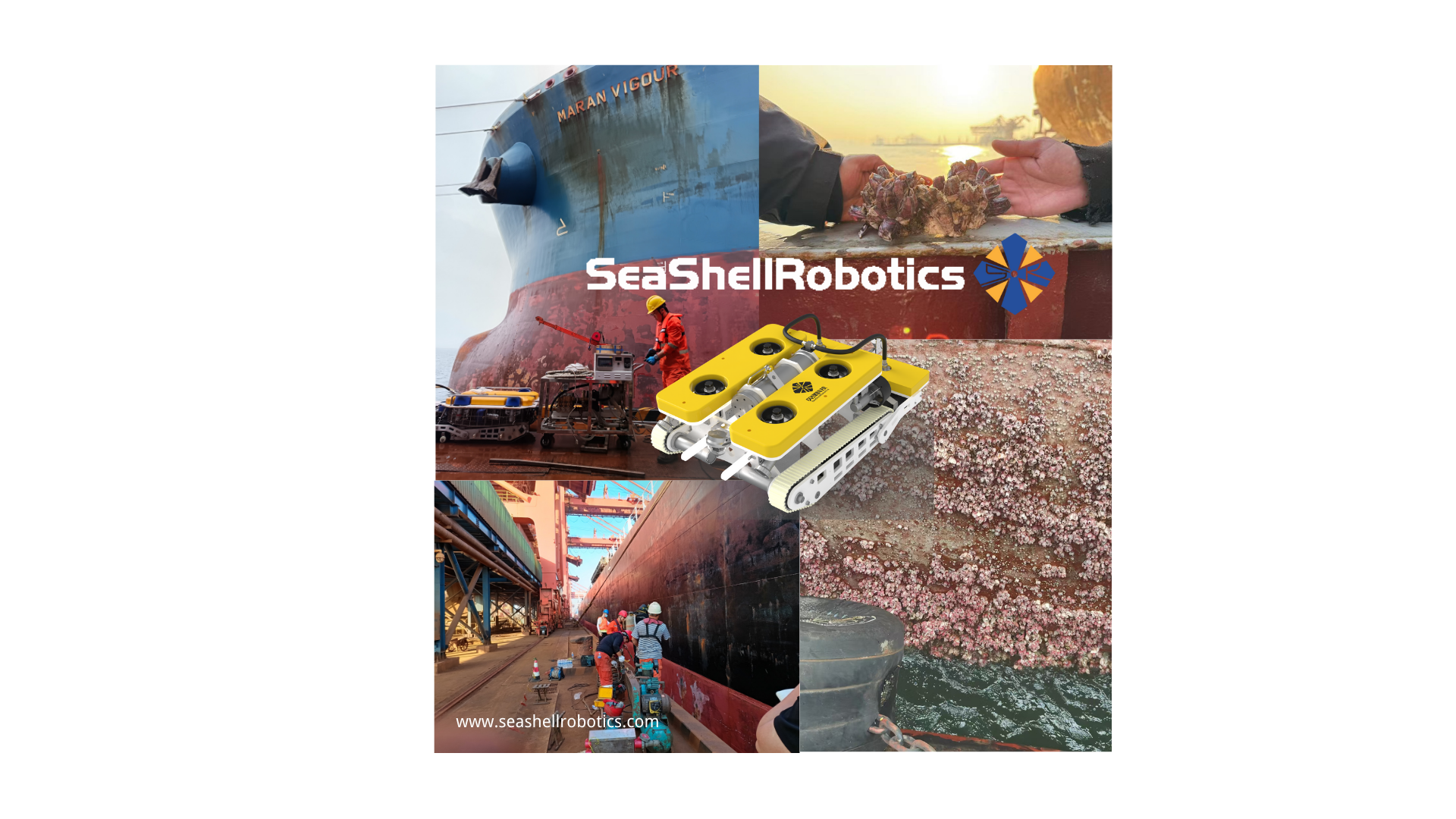 Seashell Shipclean ROV CR-01 - Geo-matching