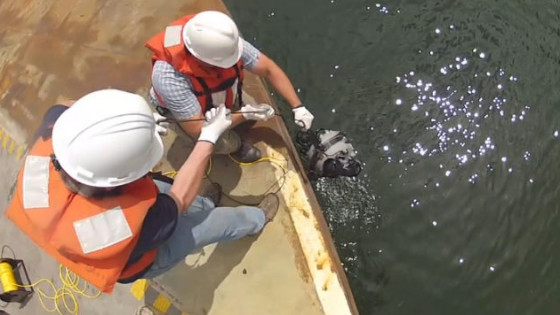 DTG3 ROV - Geo-matching