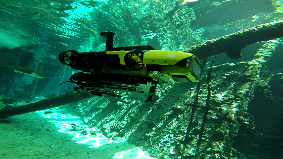 How Low-Cost Subsea Components are Changing Marine Conservation Efforts ...