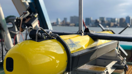 Positioning and Tracking Technology for Unmanned Marine Vehicles - Geo ...