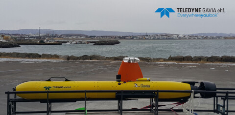 Hydroid REMUS 6000 - Geo-matching