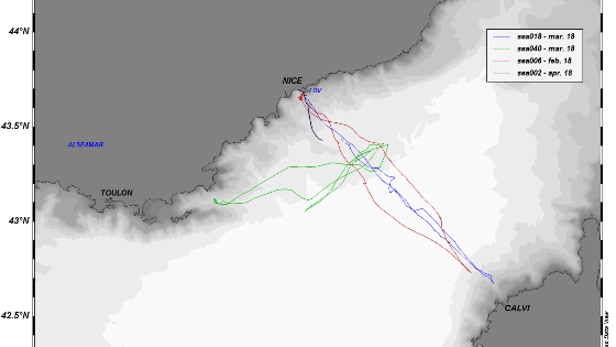 Intense observation of the deep convection in the North-Western ...