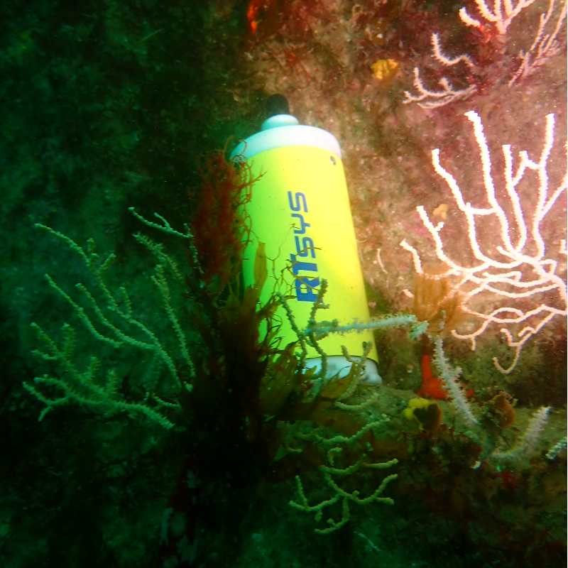 Low-Power underwater acoustic recorders SYLENCE-LP - Geo-matching