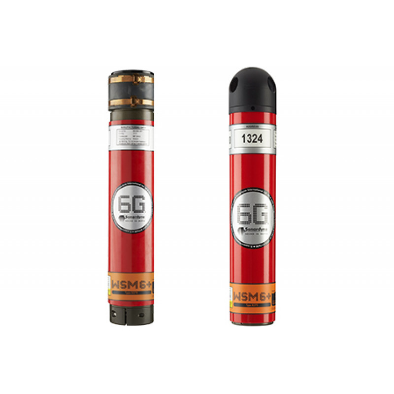 WSM 6+ - Geo-matching