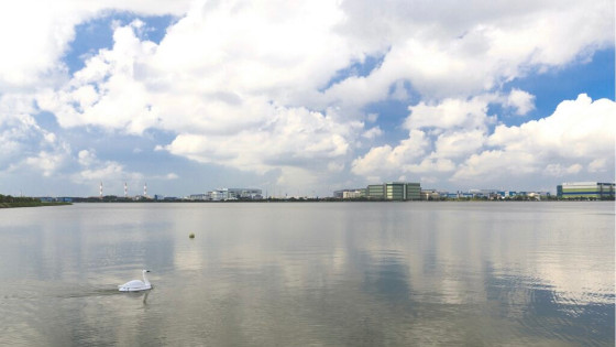 Water Quality Monitoring Is Being Revolutionized by Using Blue Robotics ...